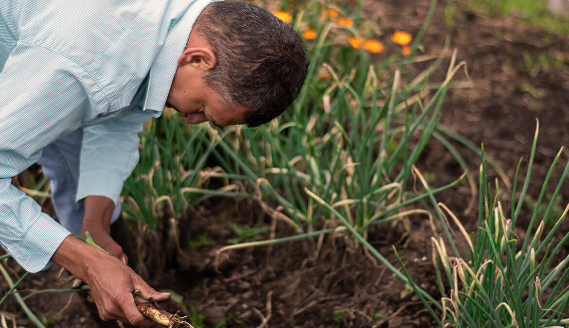 Projects Details - PureMix Trading